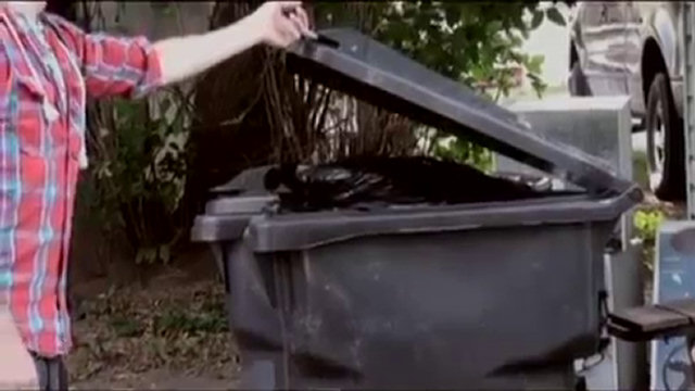 Lo scoiattolo ninja